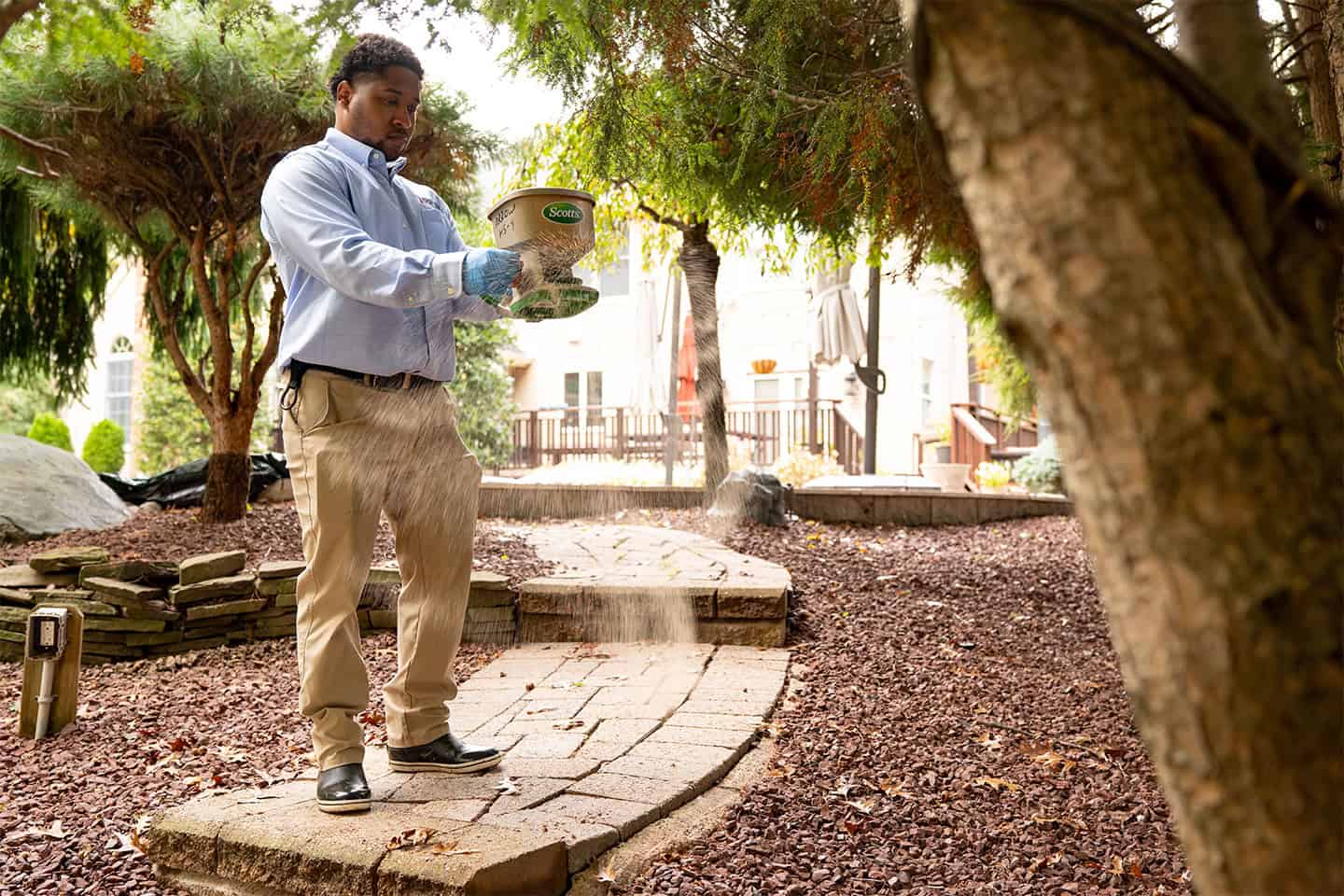 New Jersey Rodent Control | Rodent Extermination & Removal In NJ ...